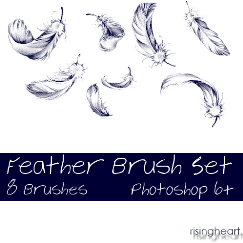 Free Feather Brushes For Photoshop Lovers • Brand Glow Up
