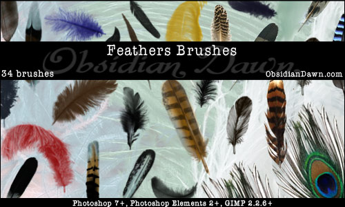 Free Feather Brushes For Photoshop Lovers • Brand Glow Up