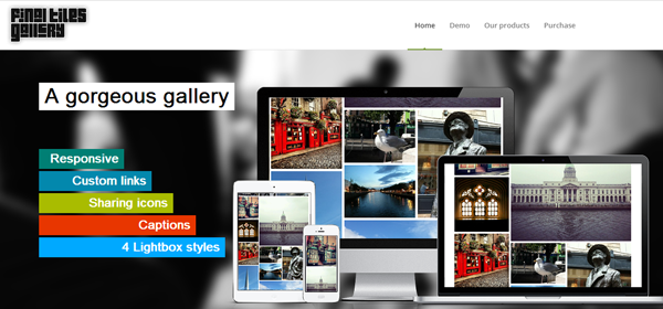 10+ Wordpress Gallery Plugins – Deliver Your Images With Style